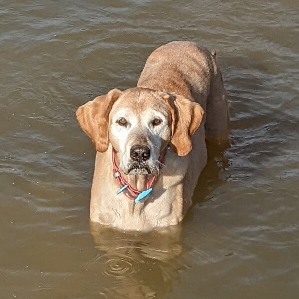 Profaya™️ – Hyatt Life Sciences